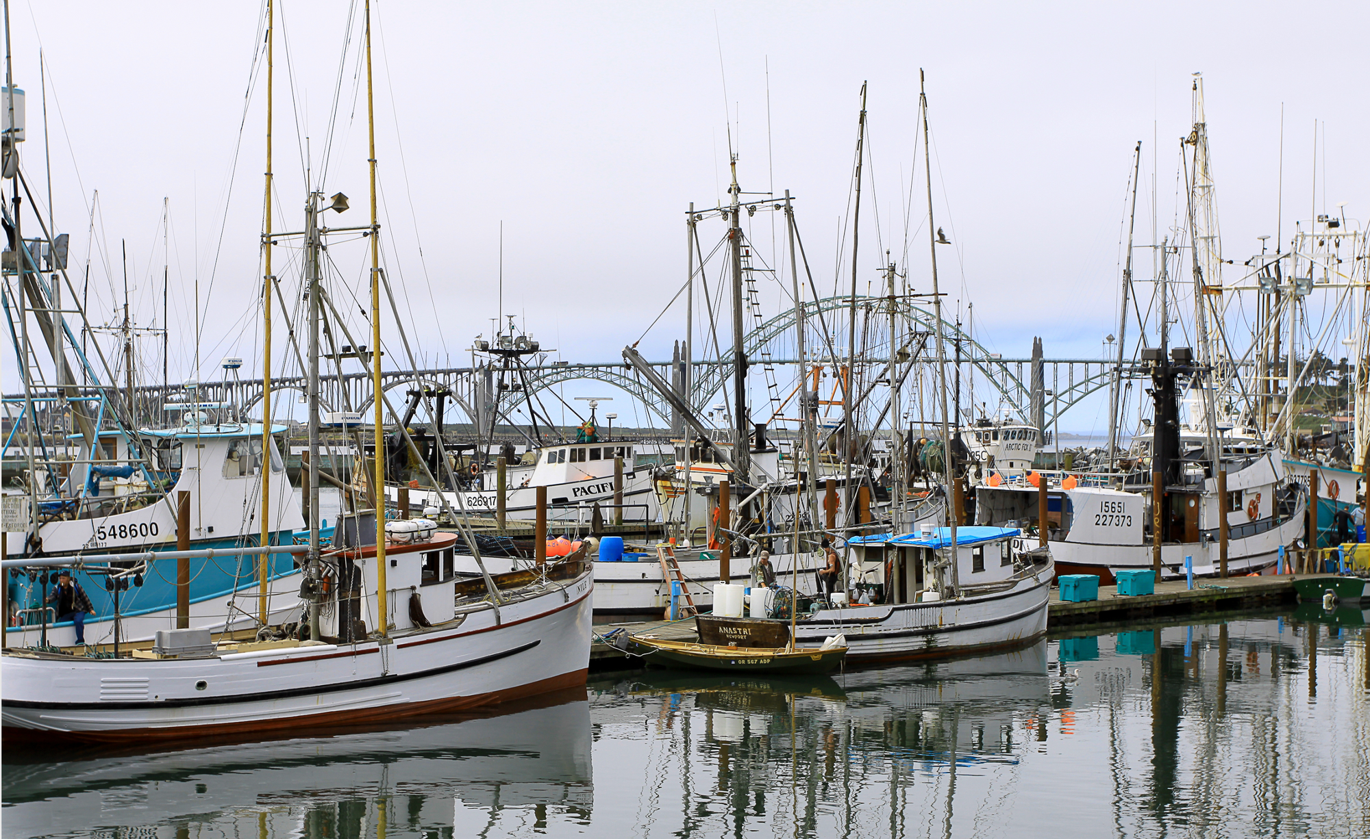 Contact Us | We're Here to Help With All Canned Tuna & Salmon Needs ...